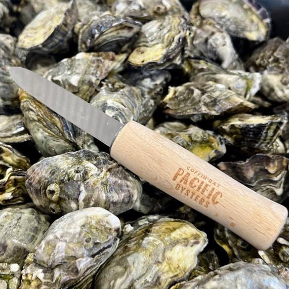 Shucking Knife | Coffin Bay Pacific Oysters